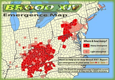 Brood Map preview - Cicada Mania