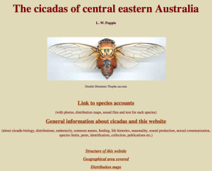 Great website: The cicadas of central eastern Australia - Cicada Mania