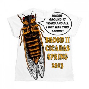 My Goals and Objectives for the Brood II Emergence – Cicada Mania