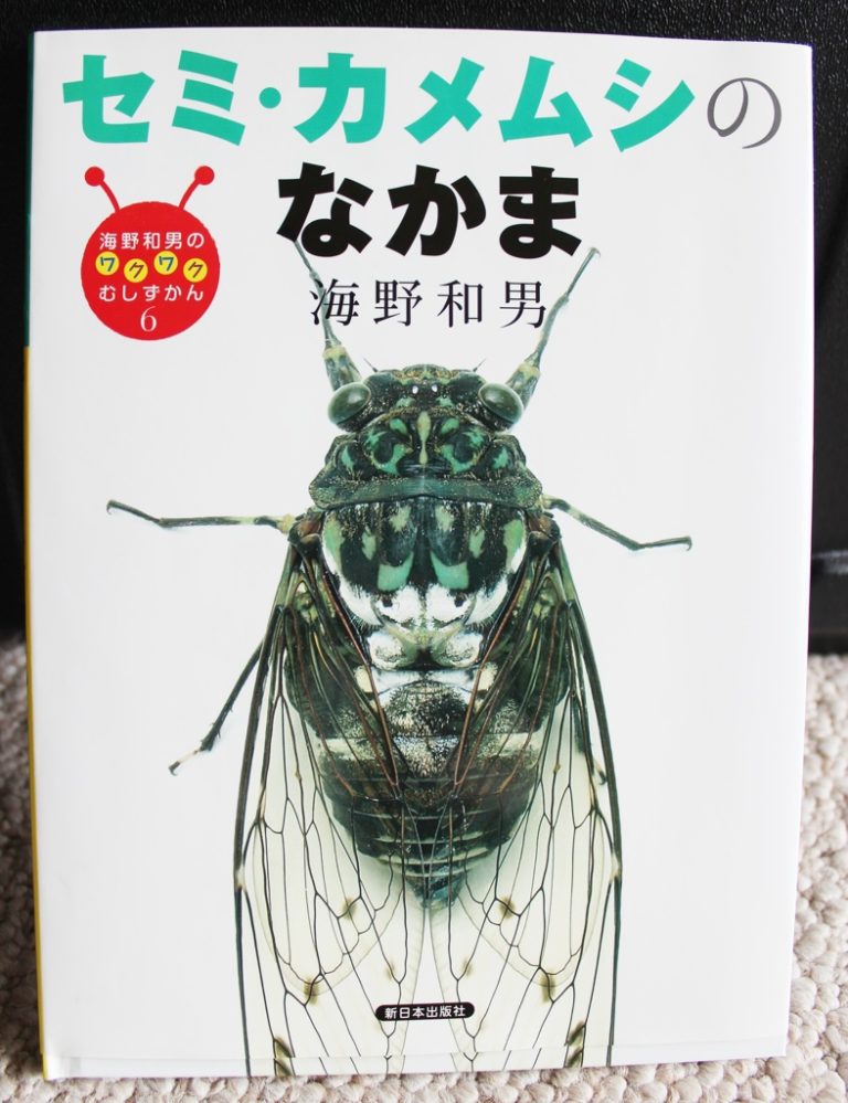 Some cicada books from Japan – Cicada Mania