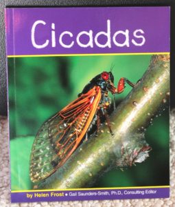 Cicada Books for Kids, Part 1 – Cicada Mania