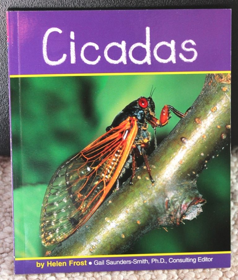 Cicada Books for Kids, Part 1 – Cicada Mania