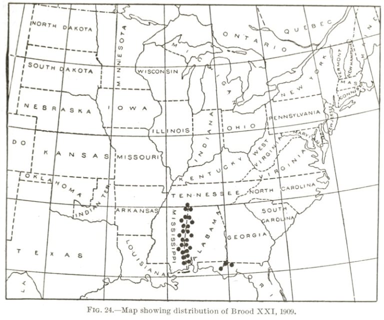 Brood XXI Map – Cicada Mania