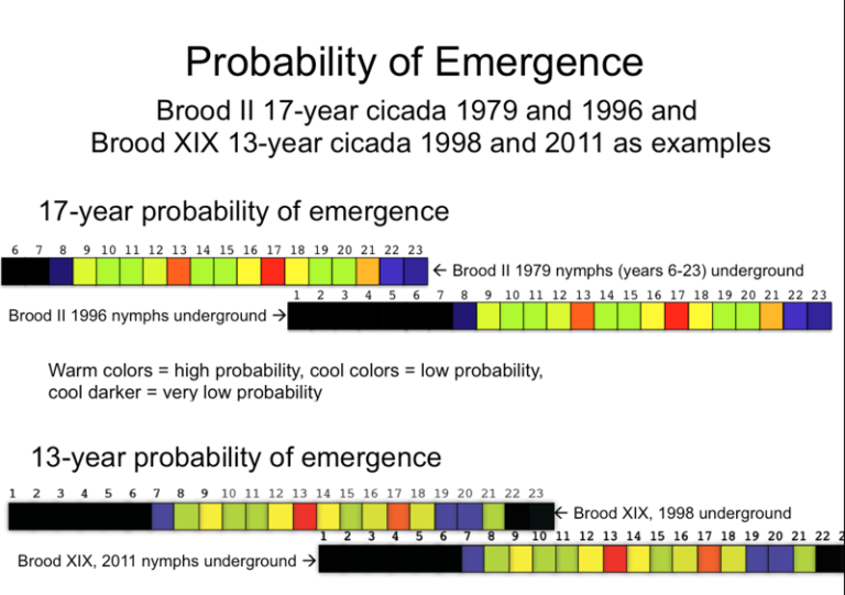 What are stragglers? – Cicada Mania