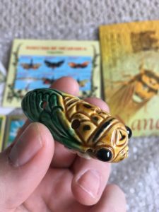 Cicada Toys and Collectables - Cicada Mania