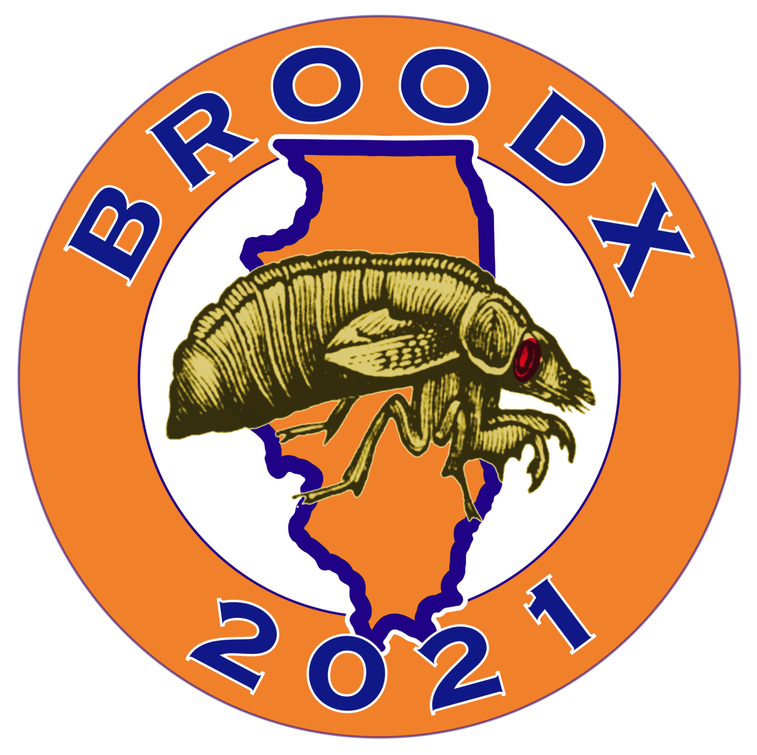 Periodical cicada Brood X (10) will emerge in 15 states in 2021 ...