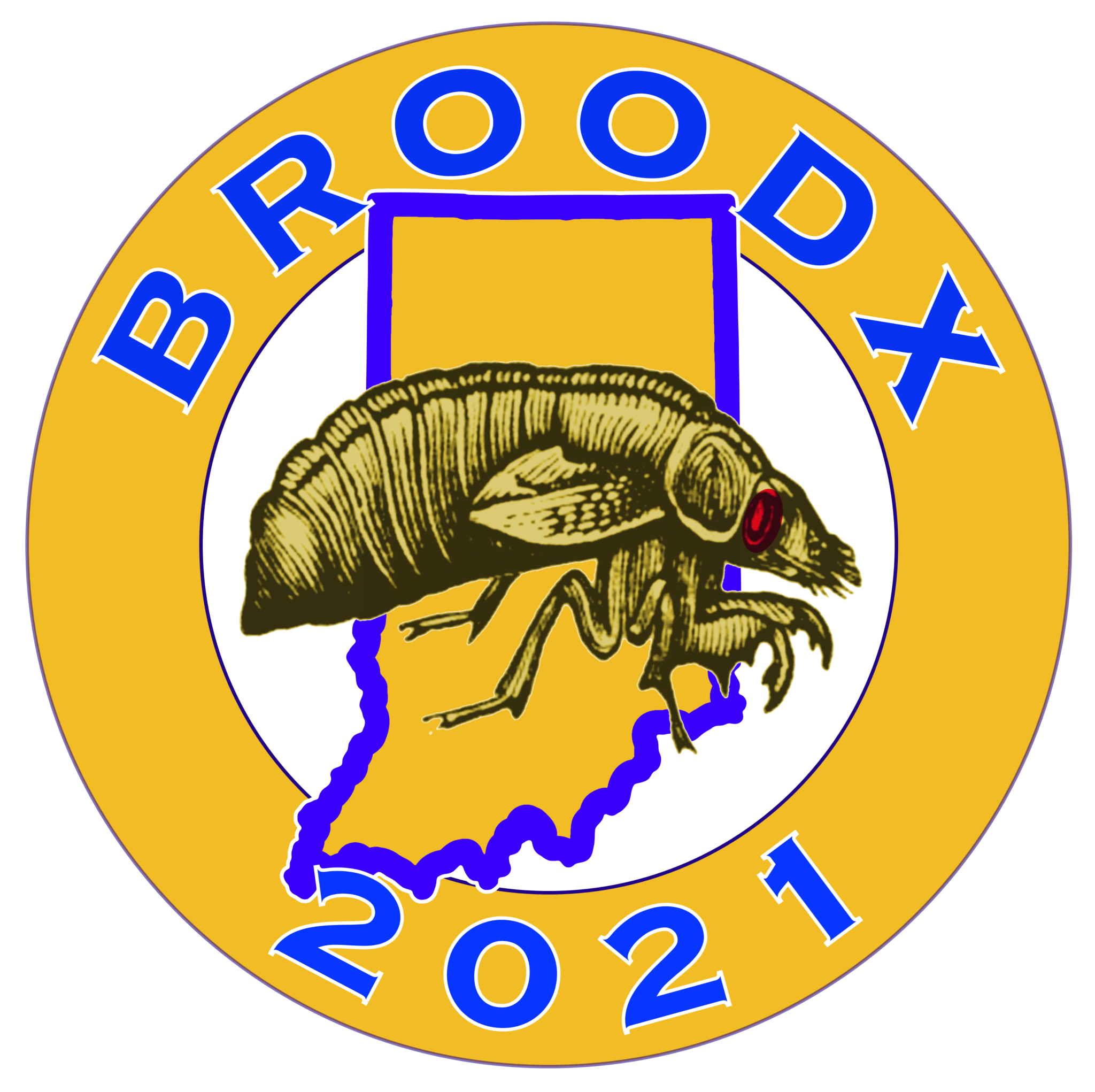 Periodical cicada Brood X (10) will emerge in 15 states in 2021 ...