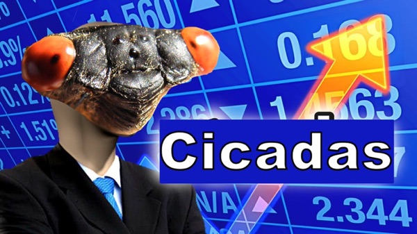 Grab Your Ear Protection: The Cicadas Are Coming! The Cicadas are com ...