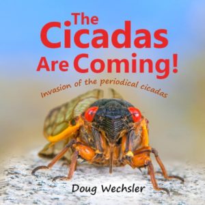 Books - Cicada Mania