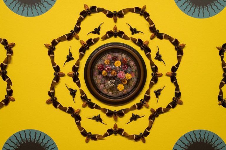 Jennifer Angus: Magicicada, a cicada art exhibit at the Staten Island ...