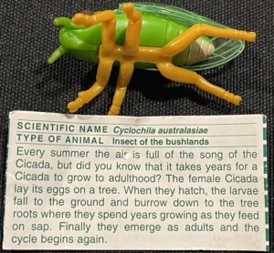 Green Grocer Cicada Toy – Cicada Mania