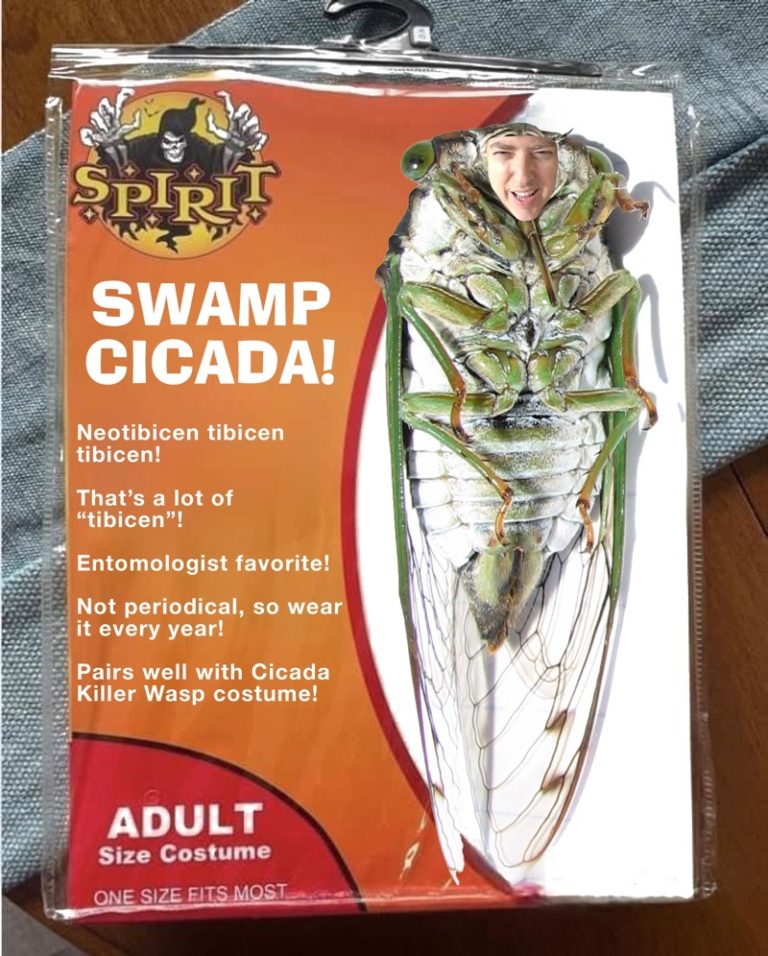 Spirit Halloween Cicada Costume – Cicada Mania