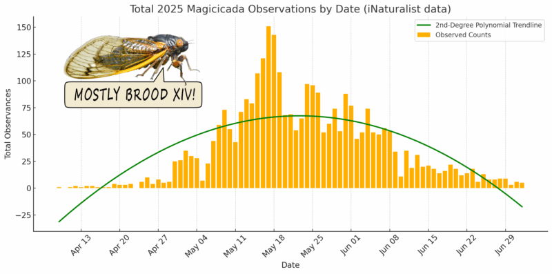 Brood XIV (14) Cicadas will emerge in 2025 in twelve states – Cicada Mania