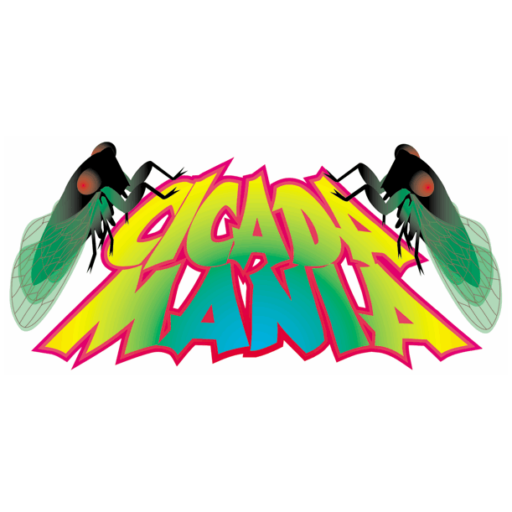 Beautiful Blue Cicada from Costa Rica – Cicada Mania